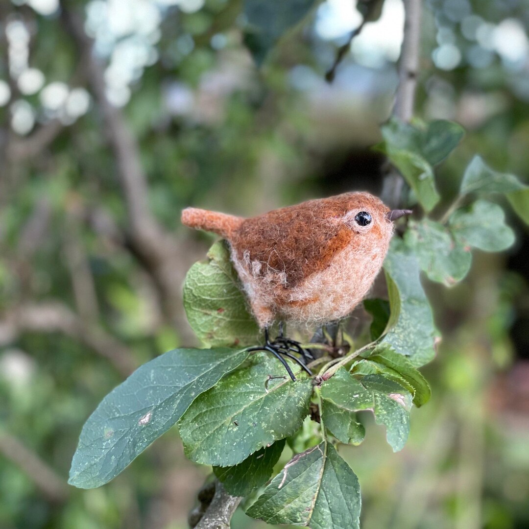 Wren Small Needle Felt Kit - Etsy