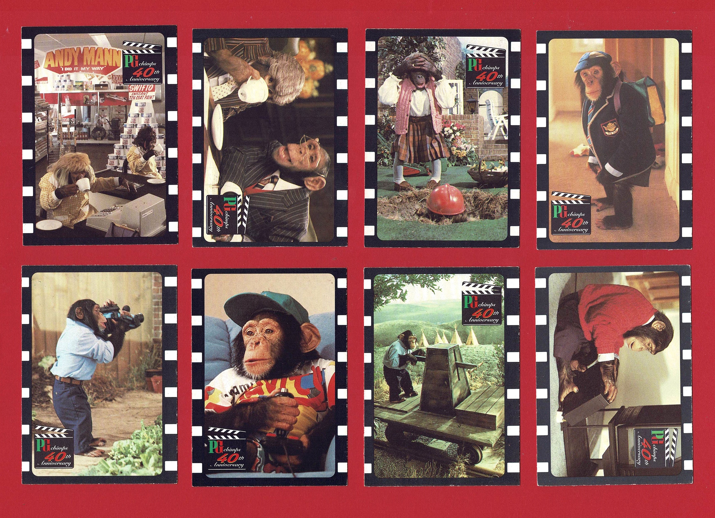 CHIMPS TEA CARDS Original 1990's British Brooke Bond Tea - Etsy