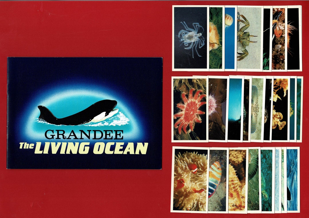 THE LIVING OCEAN Vintage Cigarette Tobacco Card Set & Original ...
