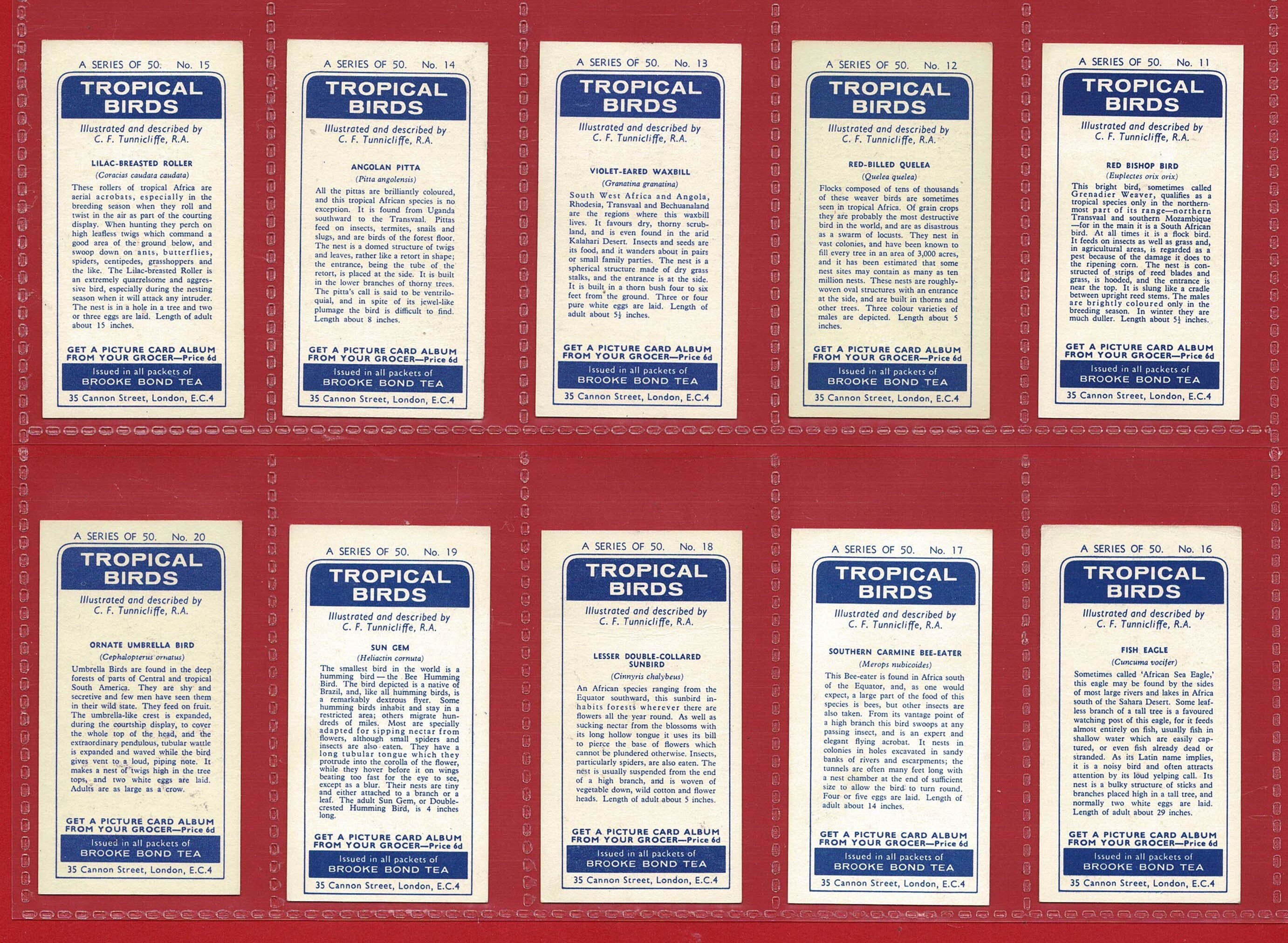 TROPICAL BIRDS Original 1961 British Tea Card Set Brooke Bond Parrot ...