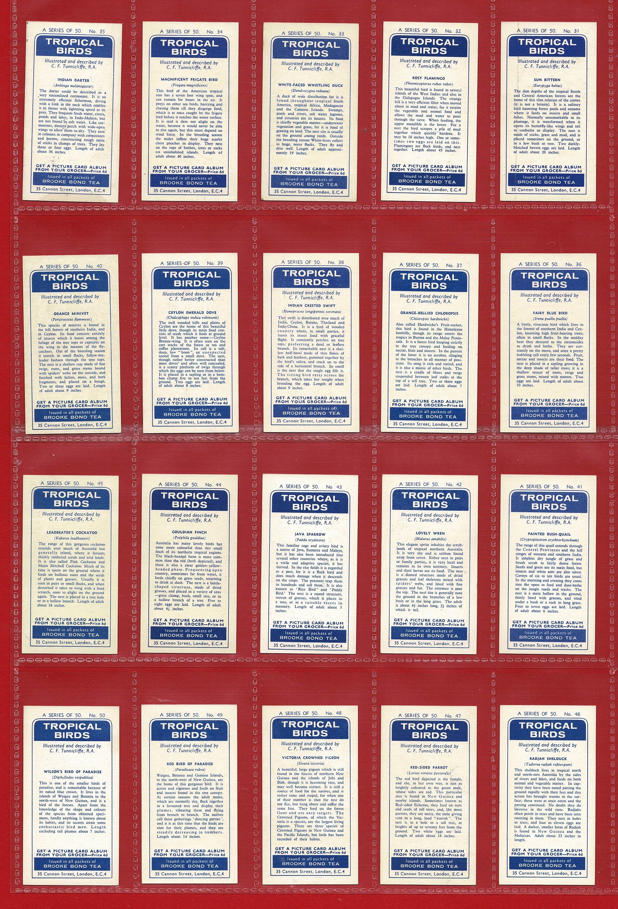 TROPICAL BIRDS Original 1961 British Tea Card Set Brooke Bond Parrot ...