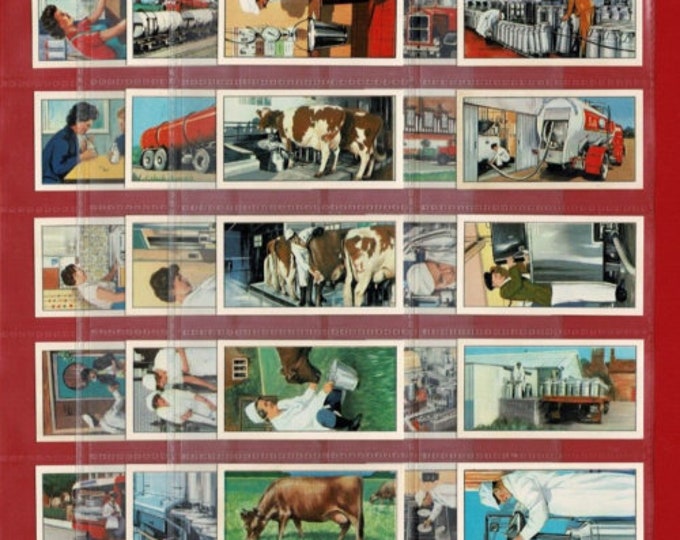 The STORY OF MILK - Original 1964 British Tea Trade Card Set - Clover ...