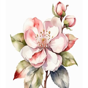 Apple Blossom Watercolor Style | Digital Download | Blossom Watercolor ...