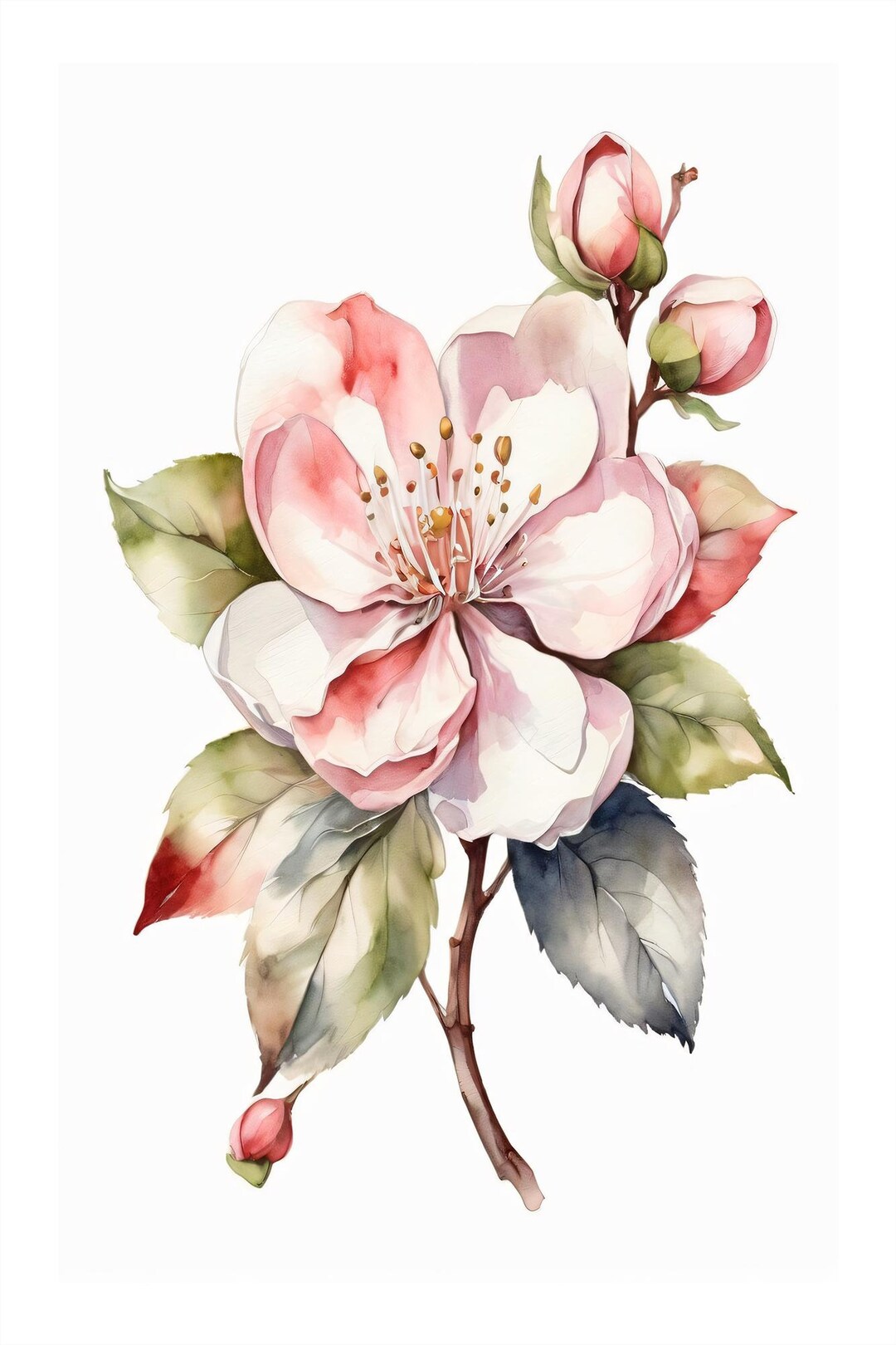 Apple Blossom Watercolor Style | Digital Download | Blossom Watercolor ...