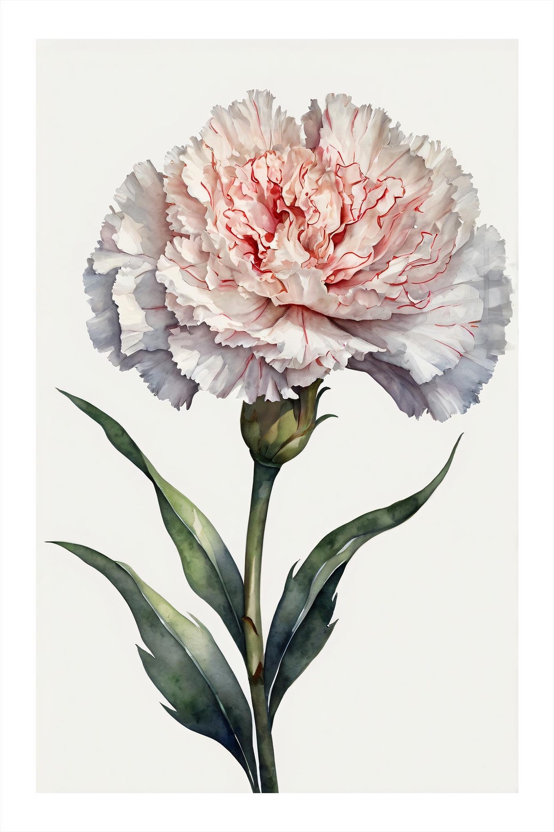 White Red Carnation Watercolor Style | Digital Download | Floral ...