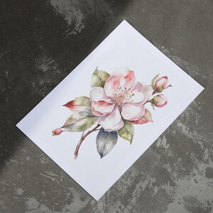 Apple Blossom Watercolor Style | Digital Download | Blossom Watercolor ...