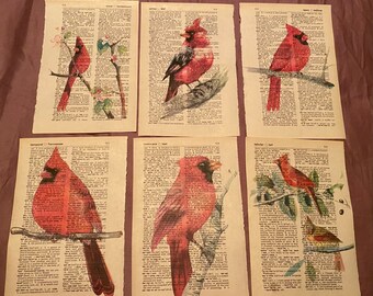 Bird cardinal Themed Dictionary Prints - Etsy
