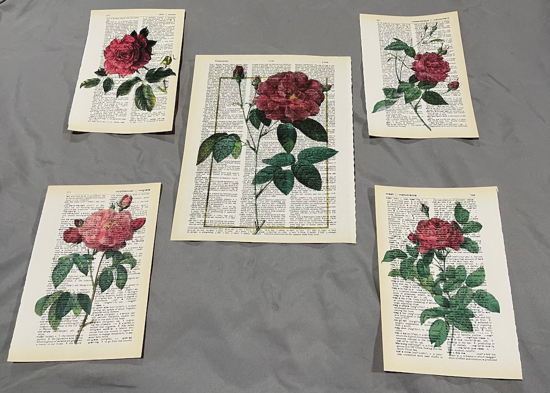 Flower (roses) Themed Dictionary Prints - Etsy