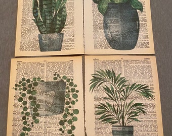 Plant Themed dictionary prints | Etsy