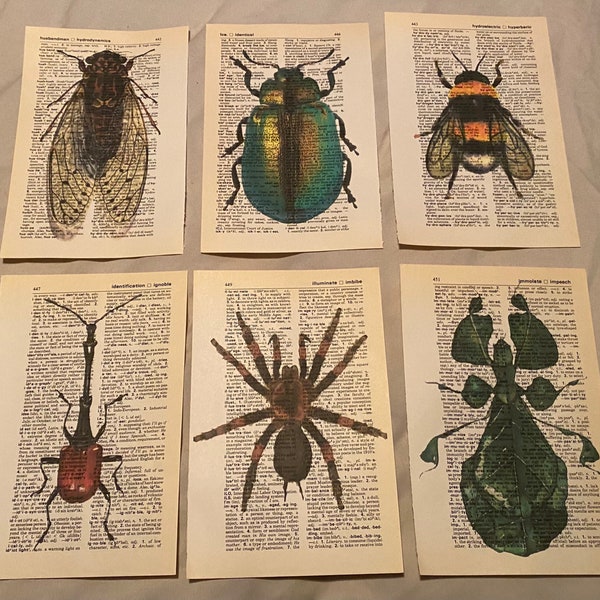 Vintage Bug Print - Etsy