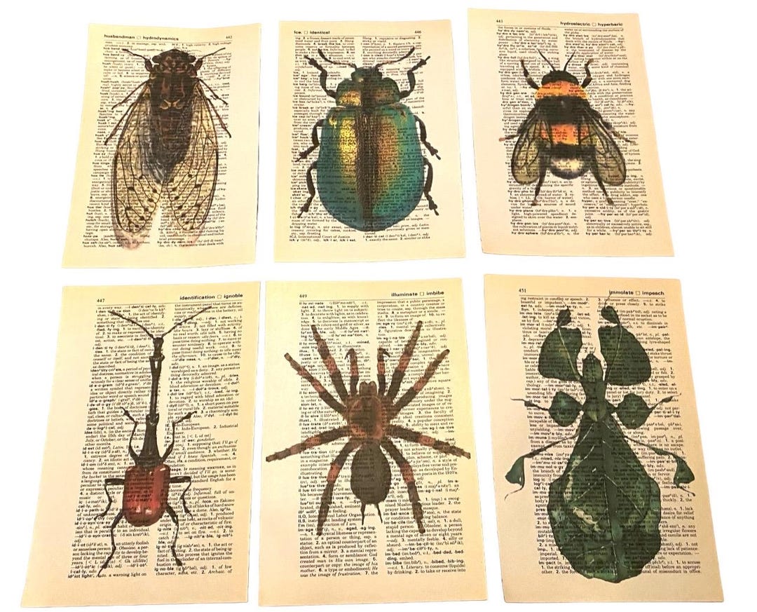 Bug/insect Themed Dictionary Prints - Etsy