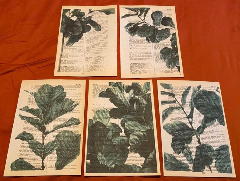 Plant Themed Dictionary Prints - Etsy