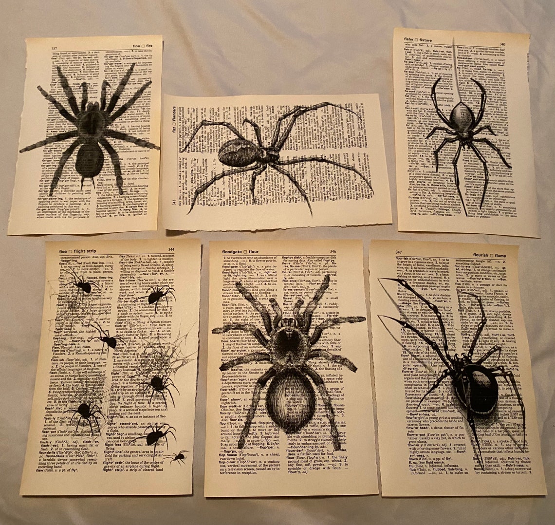 Spider Themed Dictionary Prints - Etsy