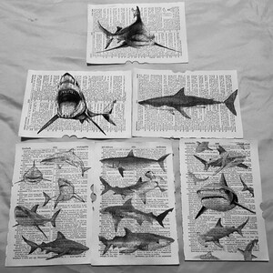 Shark Themed Dictionary Prints - Etsy
