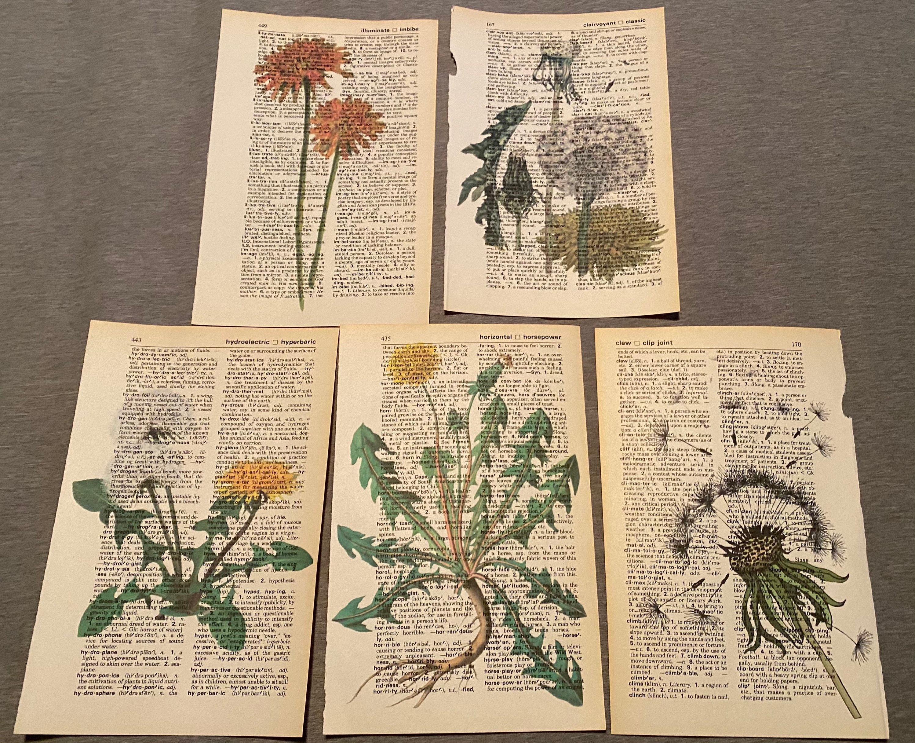 Dandelion flower themed dictionary prints | Etsy