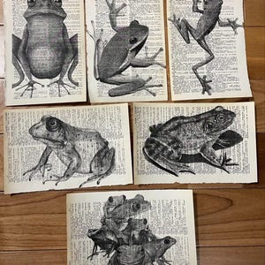Set of 6 Frog Themed Dictionary Prints - Etsy