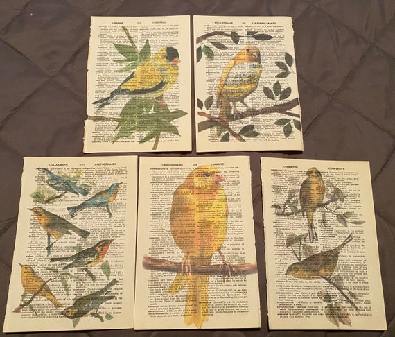 Bird Themed Dictionary Prints | Etsy