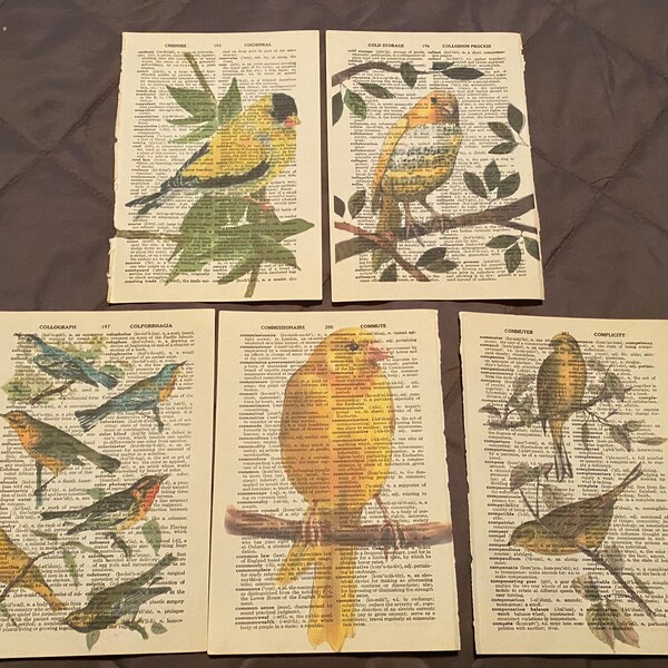 Bird Dictionary Art - Etsy