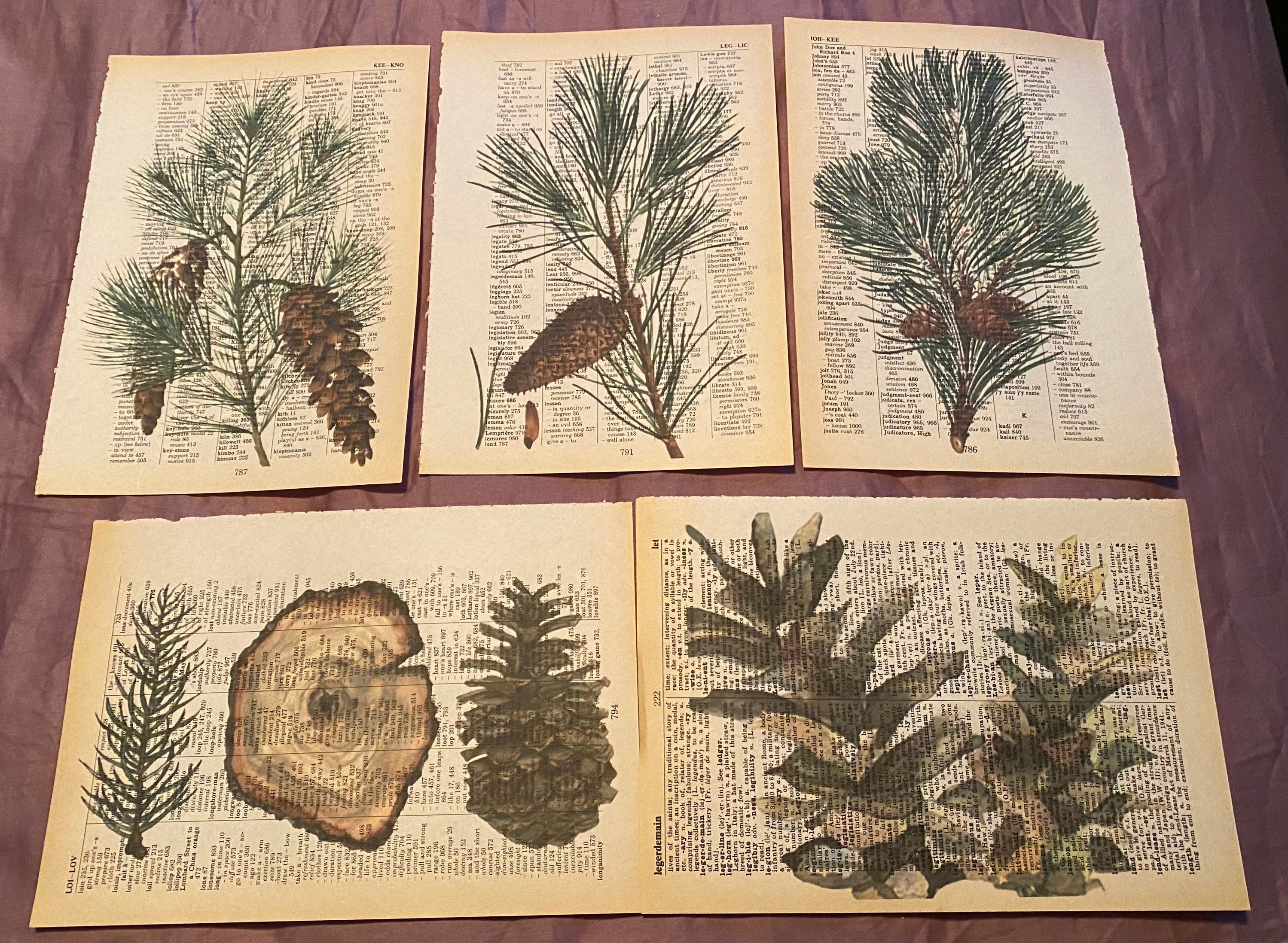Pine Cone and Tree Themed Dictionary Prints - Etsy