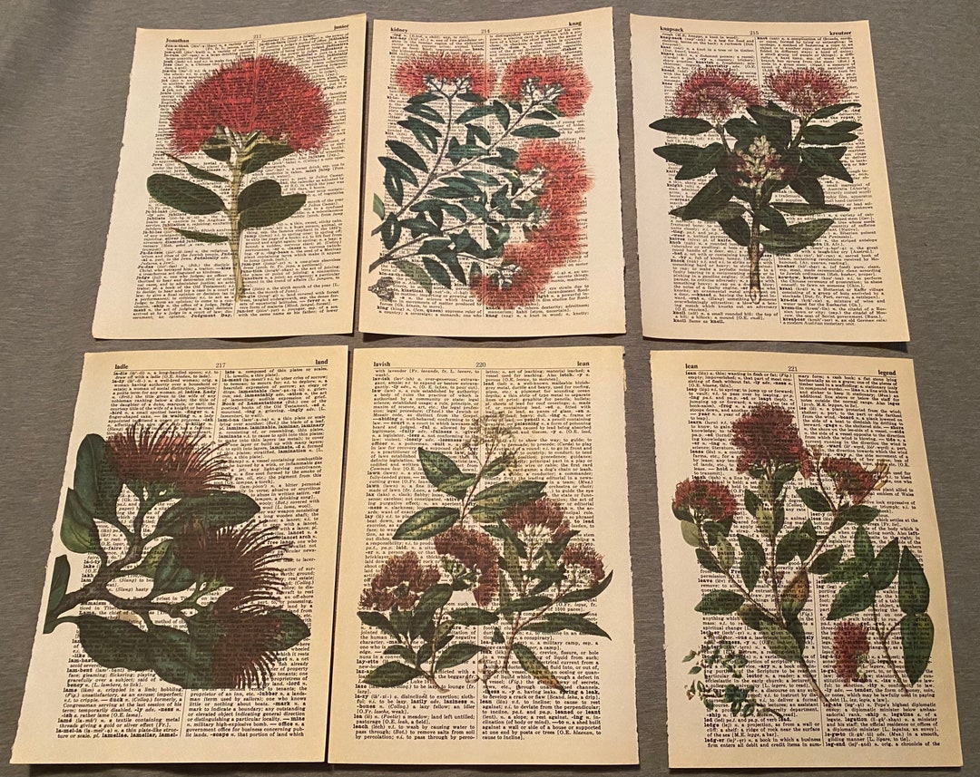 Floral Themed Dictionary Prints - Etsy