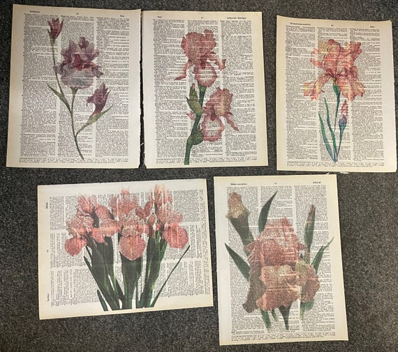 Pink Iris Flower Themed Dictionary Prints | Etsy