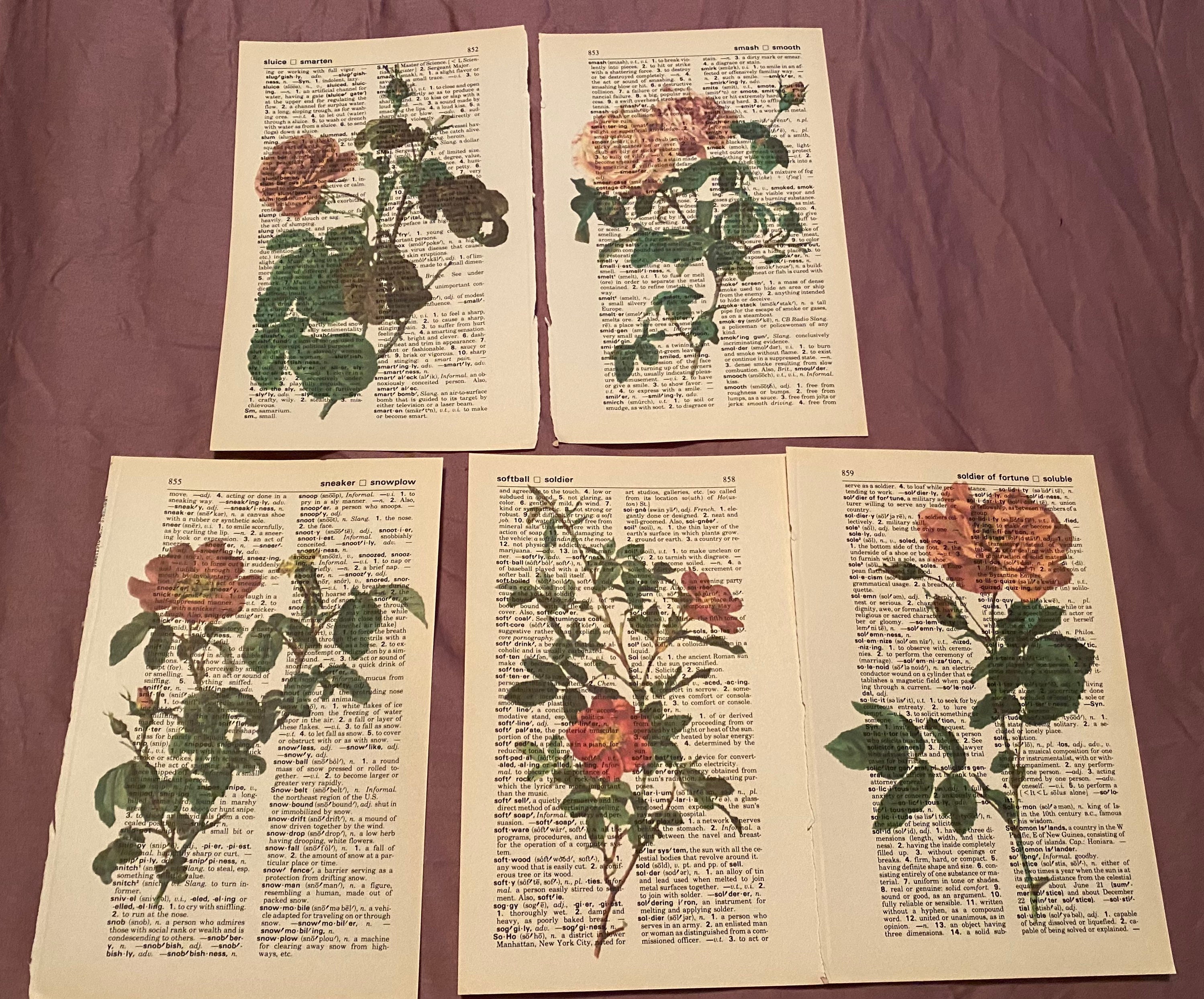 Flower Roses themed dictionary prints | Etsy