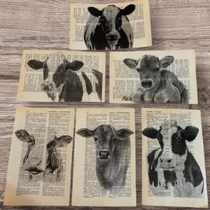 Cow Themed Dictionary Prints - Etsy