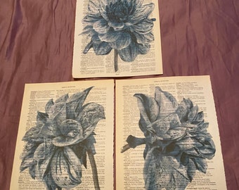 Flower Themed dictionary prints | Etsy