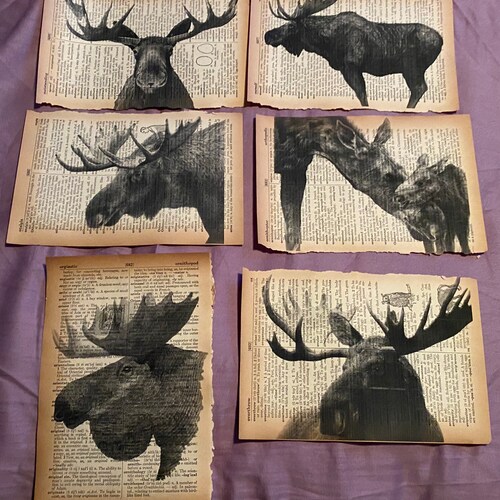 Bison/buffalo Themed Dictionary Prints - Etsy