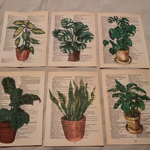 Plant Themed Dictionary Prints - Etsy