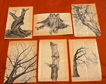 Dictionary Tree | Etsy