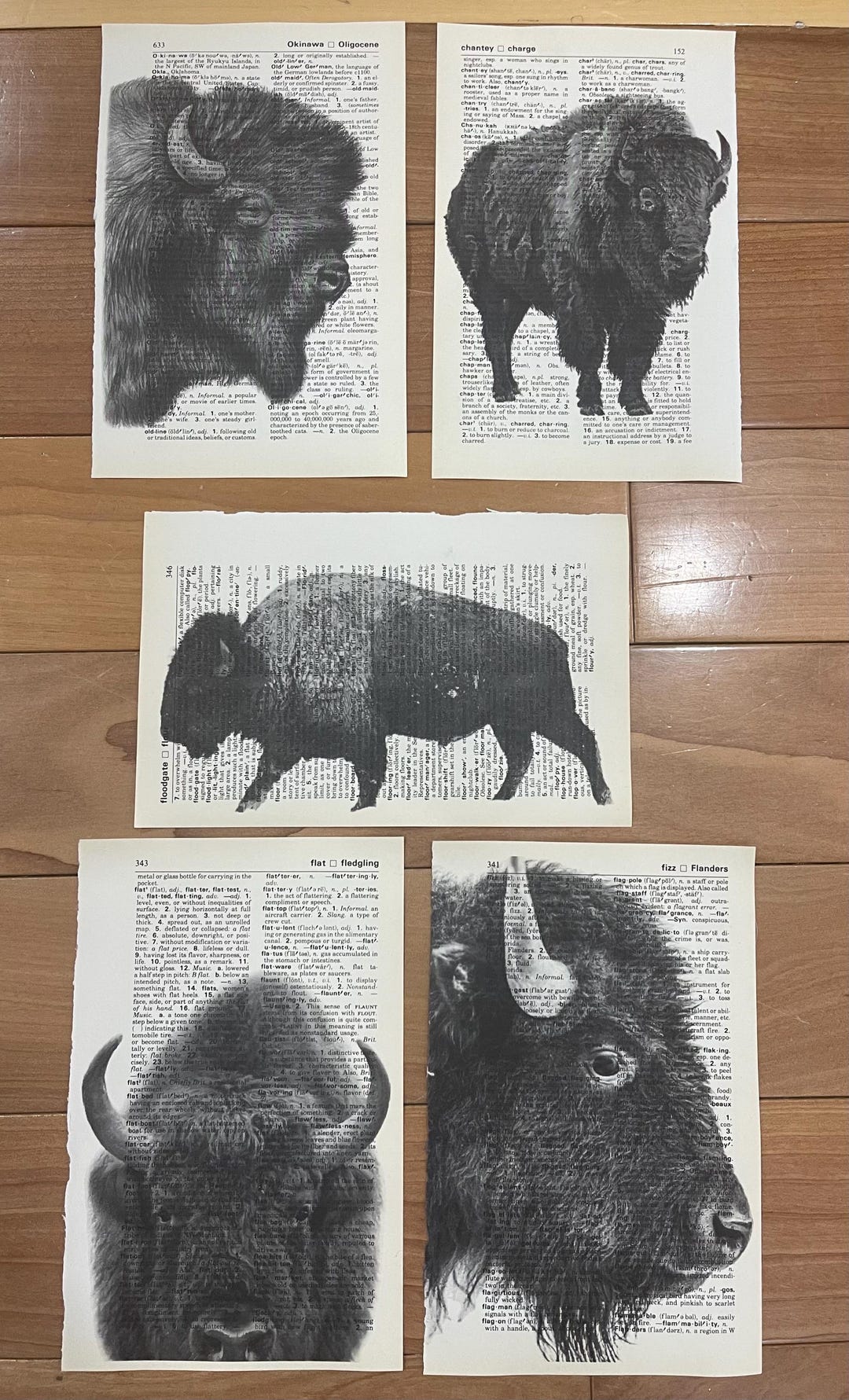 Bison/buffalo Themed Dictionary Prints - Etsy