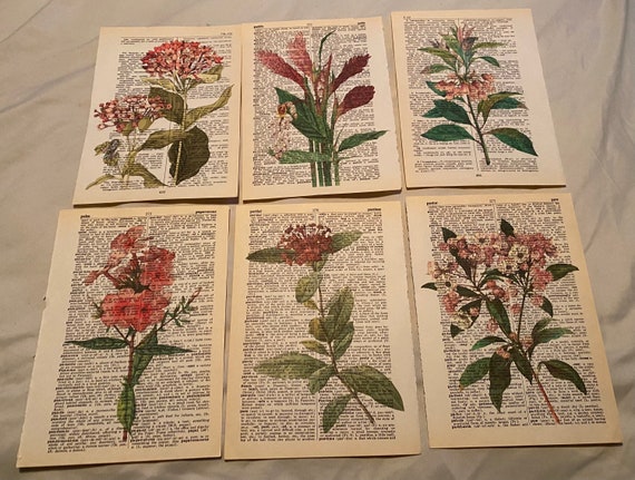 Flower Themed dictionary prints | Etsy