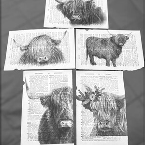 Highland Cow Themed Dictionary Prints - Etsy
