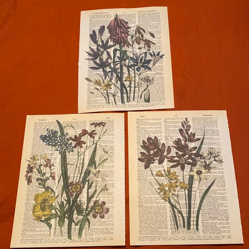 Plant Themed Dictionary Prints - Etsy