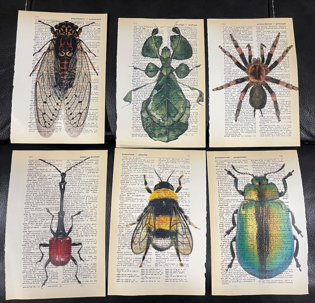 Bug/insect Themed Dictionary Prints - Etsy