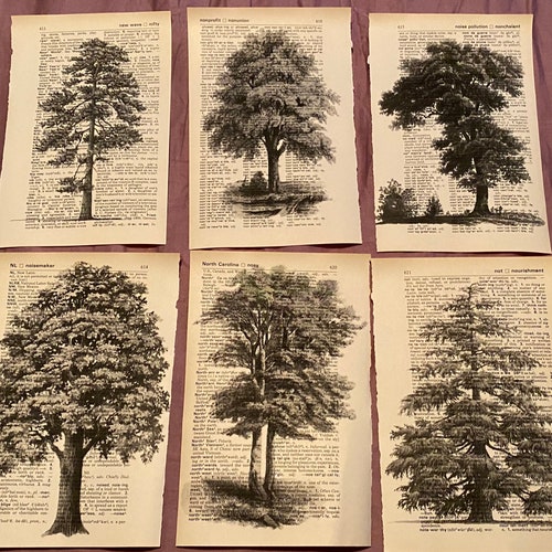 Pine Cone and Tree Themed Dictionary Prints - Etsy