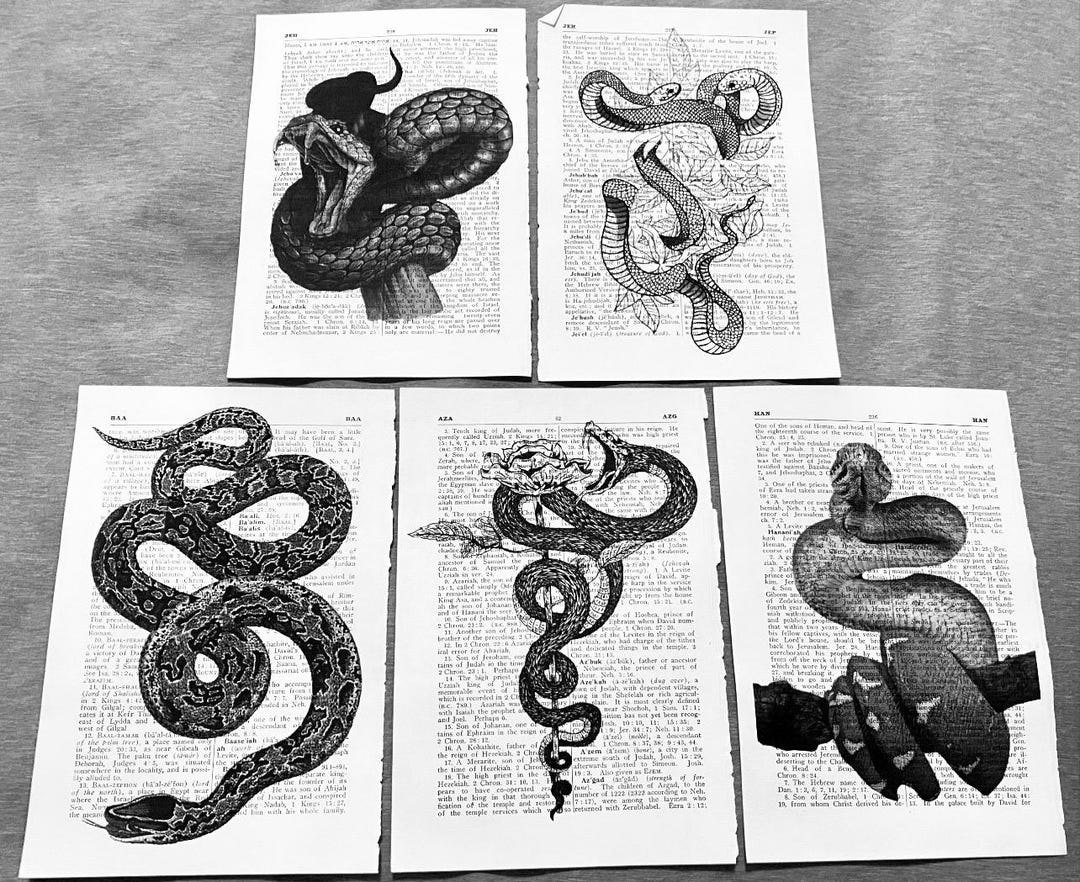 Snake Themed Dictionary Prints - Etsy