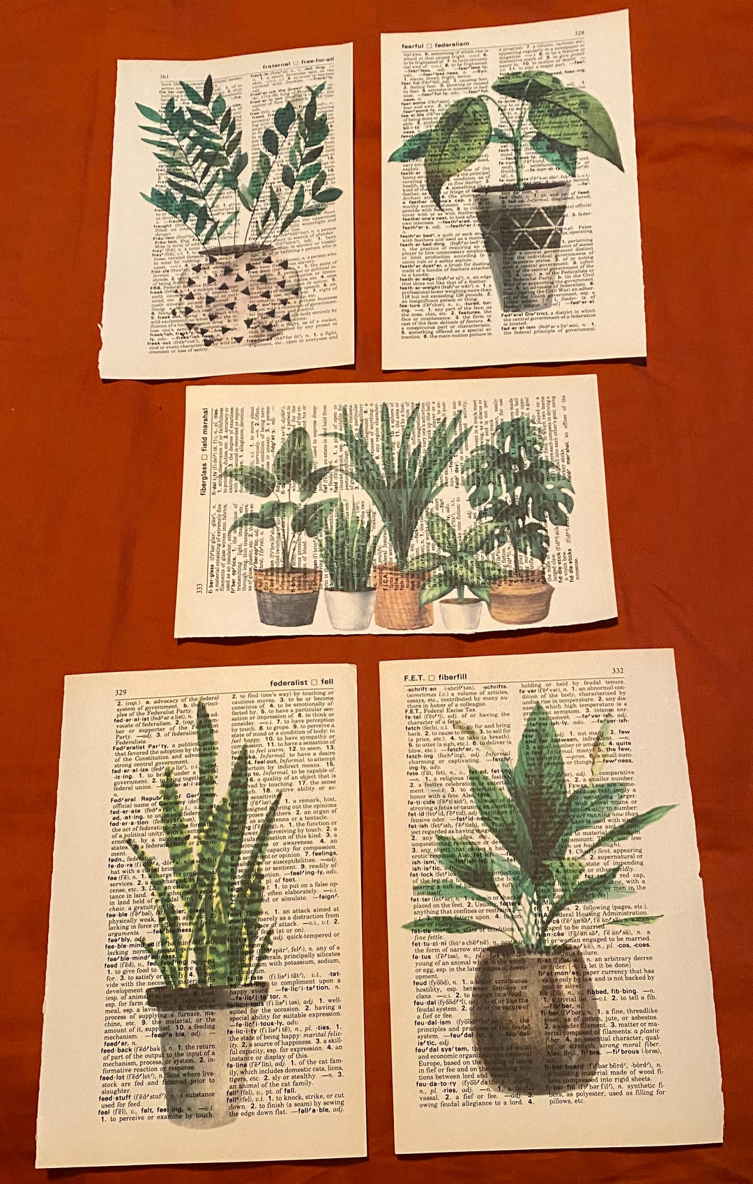 Plant Themed Dictionary Prints - Etsy