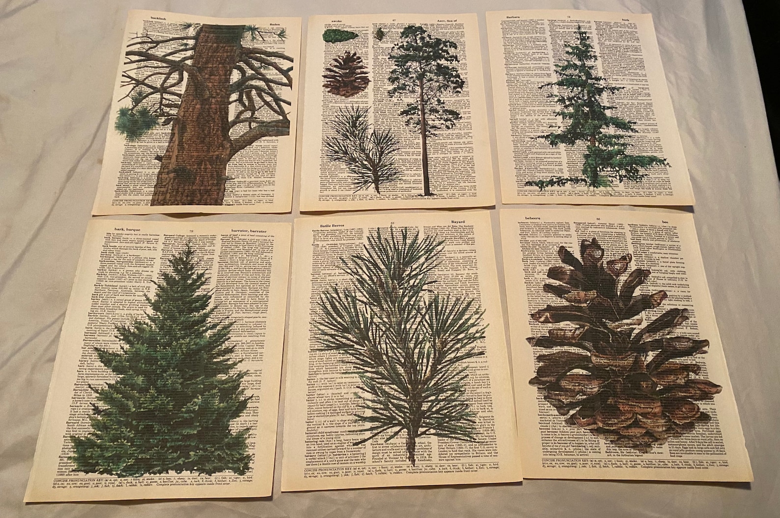 Pine Cone and Tree Themed Dictionary Prints - Etsy