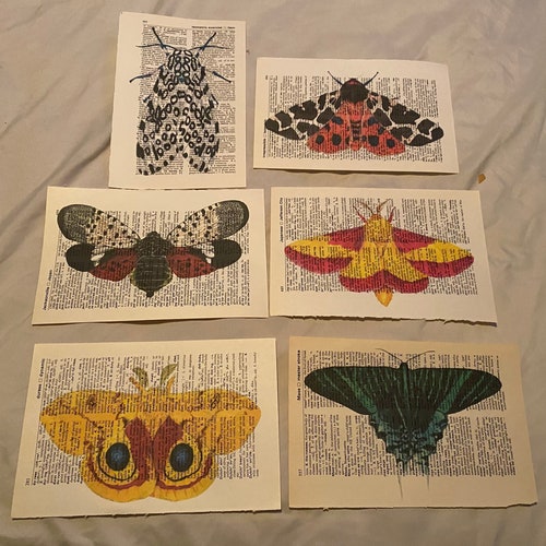 Bug/insect Themed Dictionary Prints - Etsy