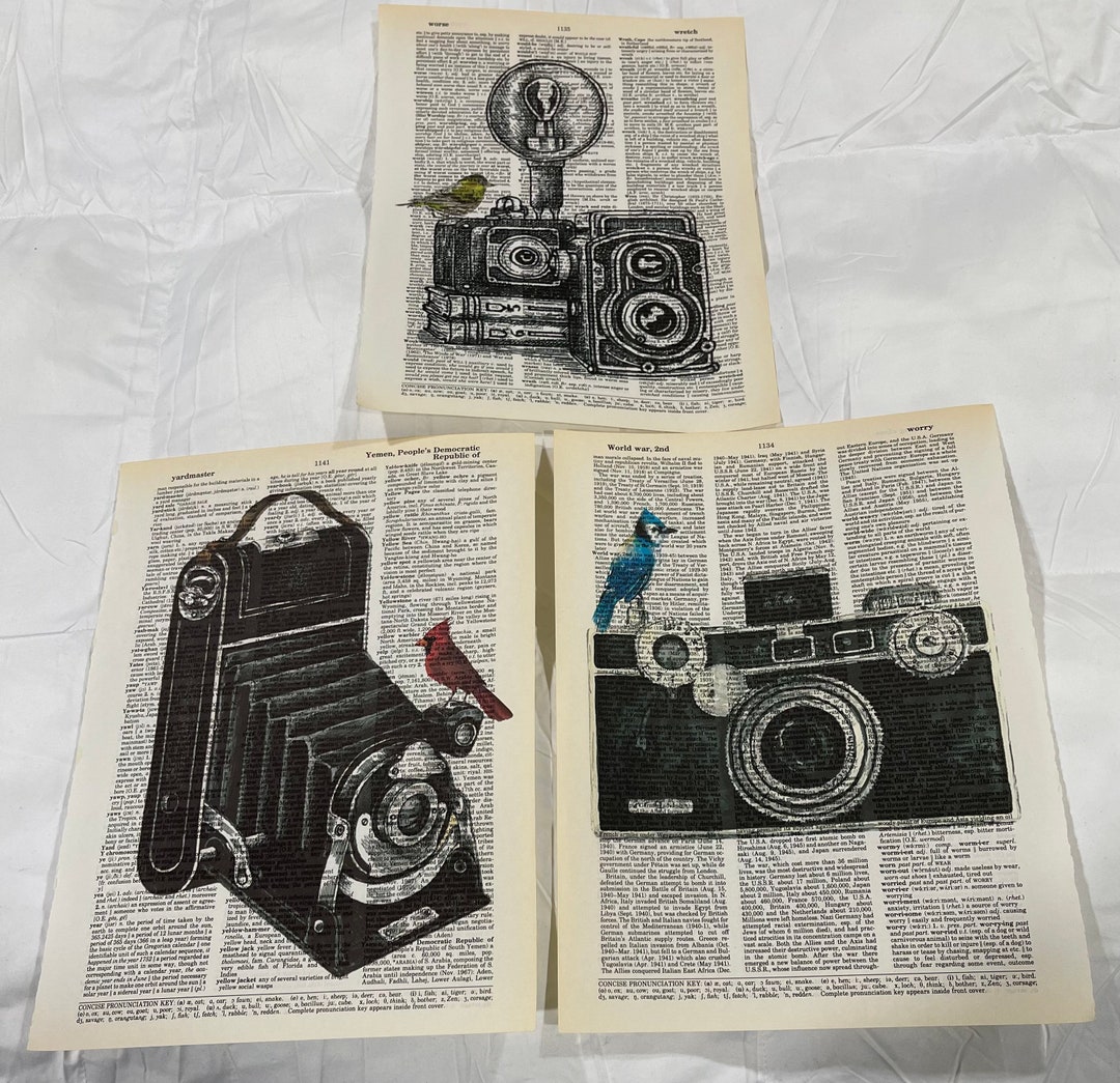Camera and Bird Themed Dictionary Prints - Etsy
