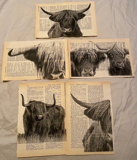 Highland Cow Themed Dictionary Prints - Etsy