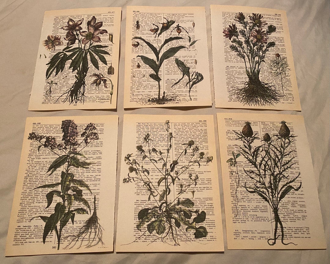 Botanical Floral Themed Dictionary Prints - Etsy