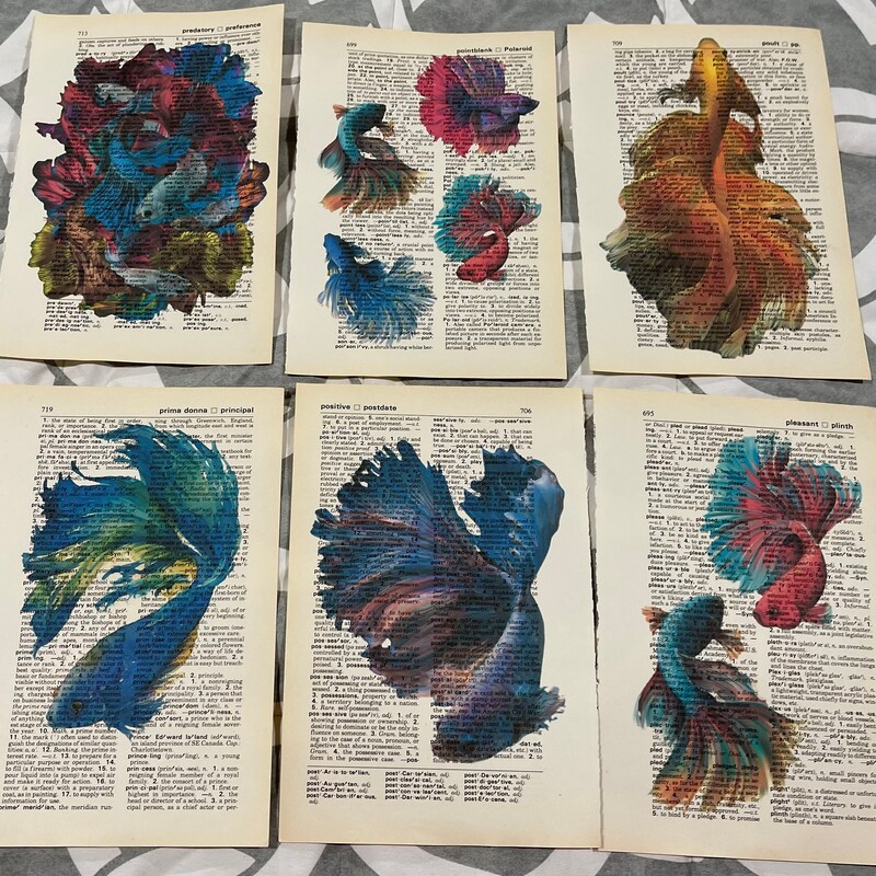 Beta Fish - Etsy