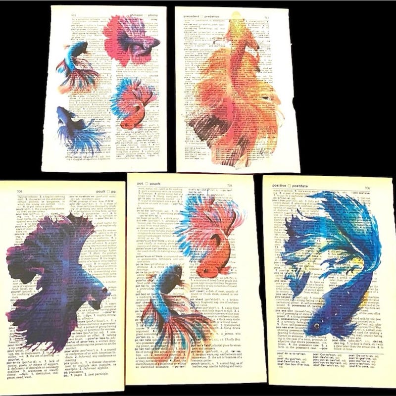 Beta Fish - Etsy