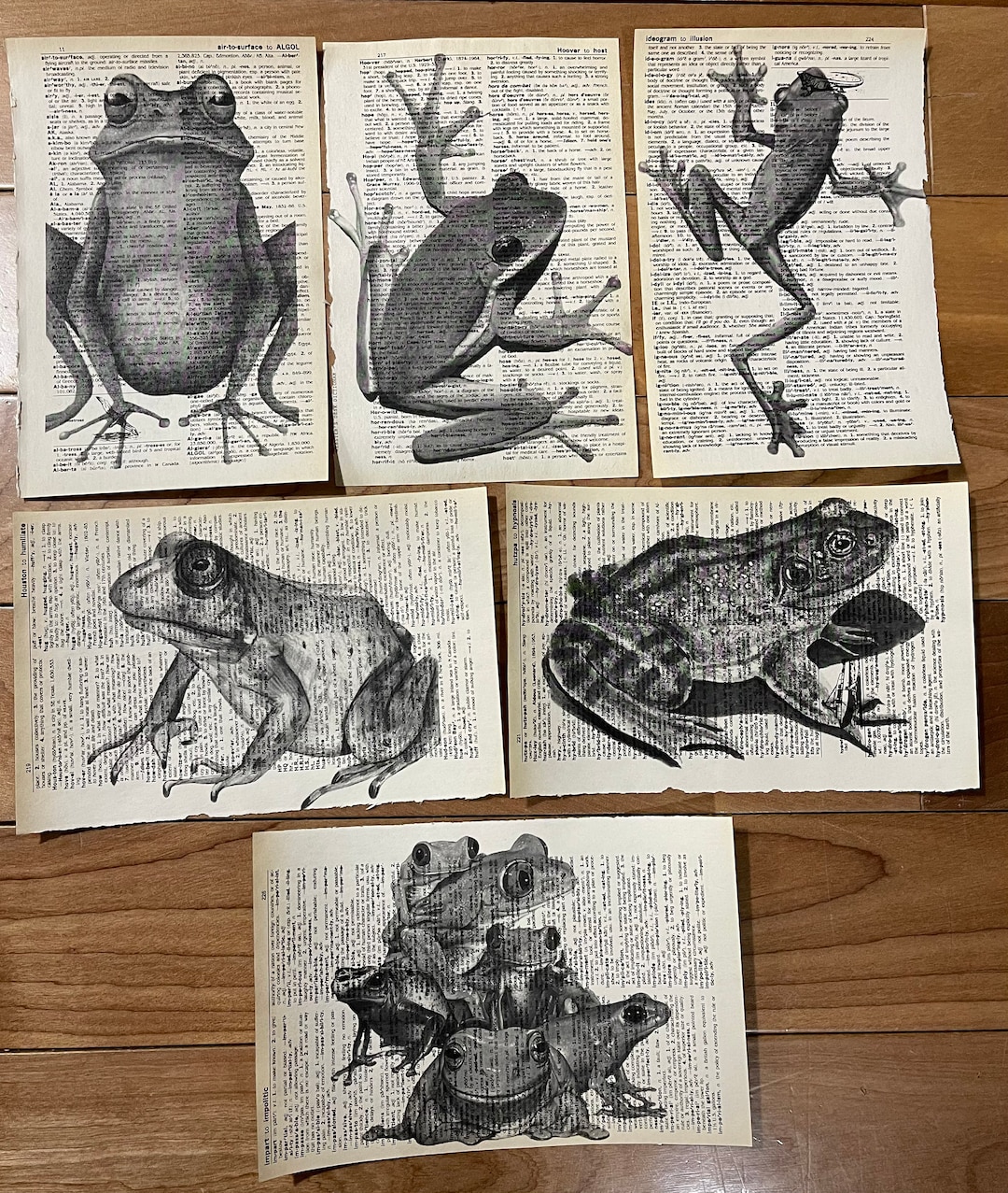 Set of 6 Frog Themed Dictionary Prints - Etsy