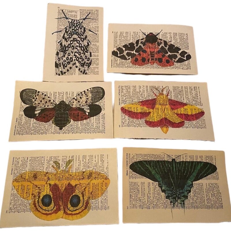 Moth Print - Etsy