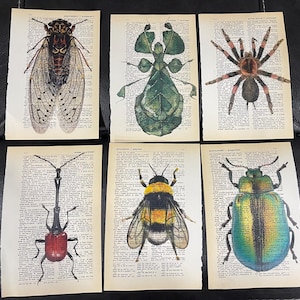 Bug/insect Themed Dictionary Prints - Etsy