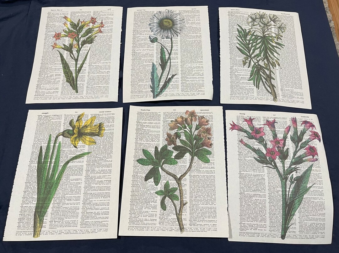Flower Themed Dictionary Prints - Etsy
